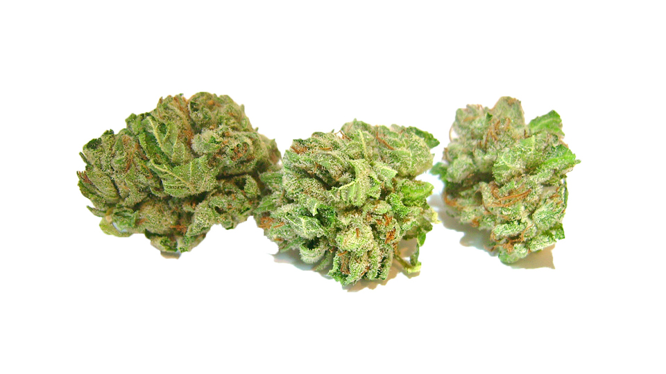 SHIFT - SHIFT - LEMON OREOZ #11 - POPCORN - 4G